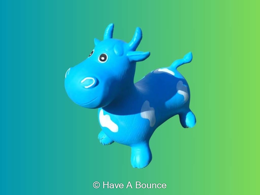 All Products - Bouncy Castle hire & Soft Play hire in Surrey, Guildford ...